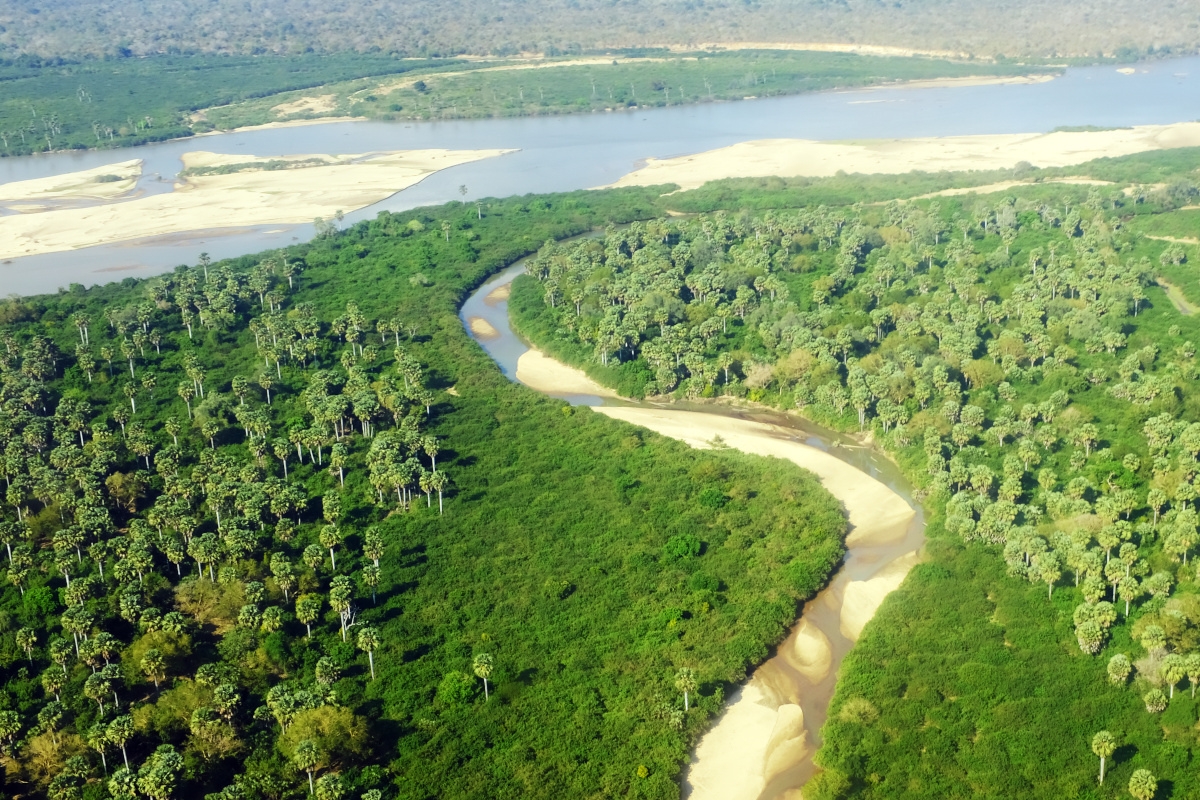 Zanzibar & safari i Nyerere - Boka safari i Selous & solsemester här!